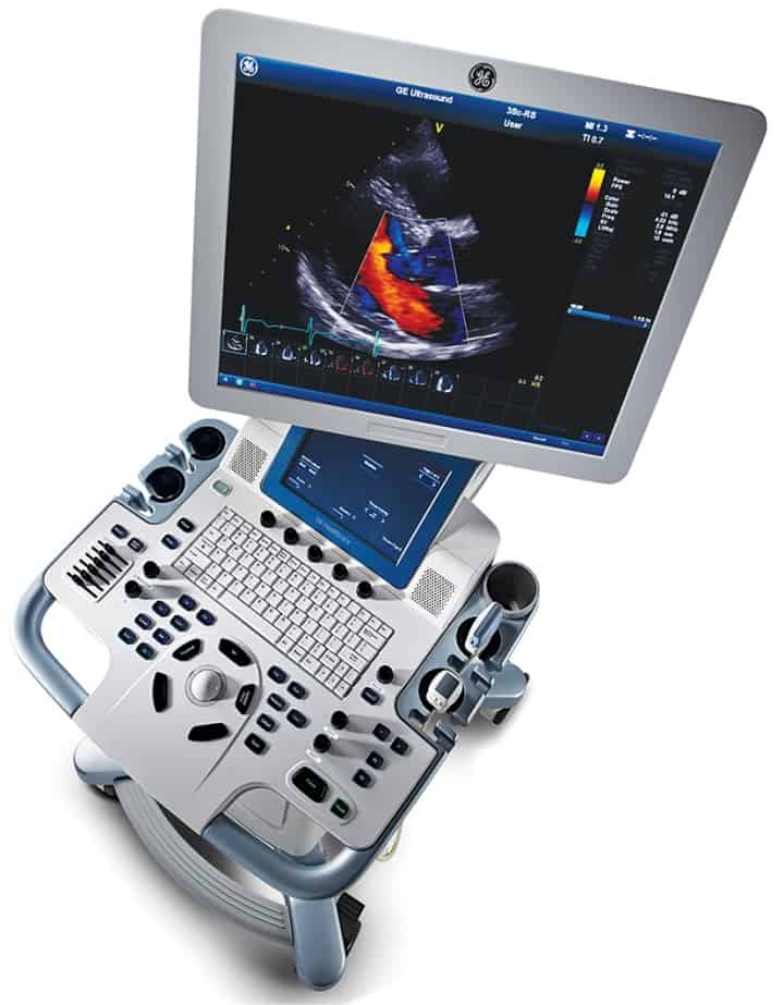Vet Cardiologist in Sydney | Southern Cross Vet